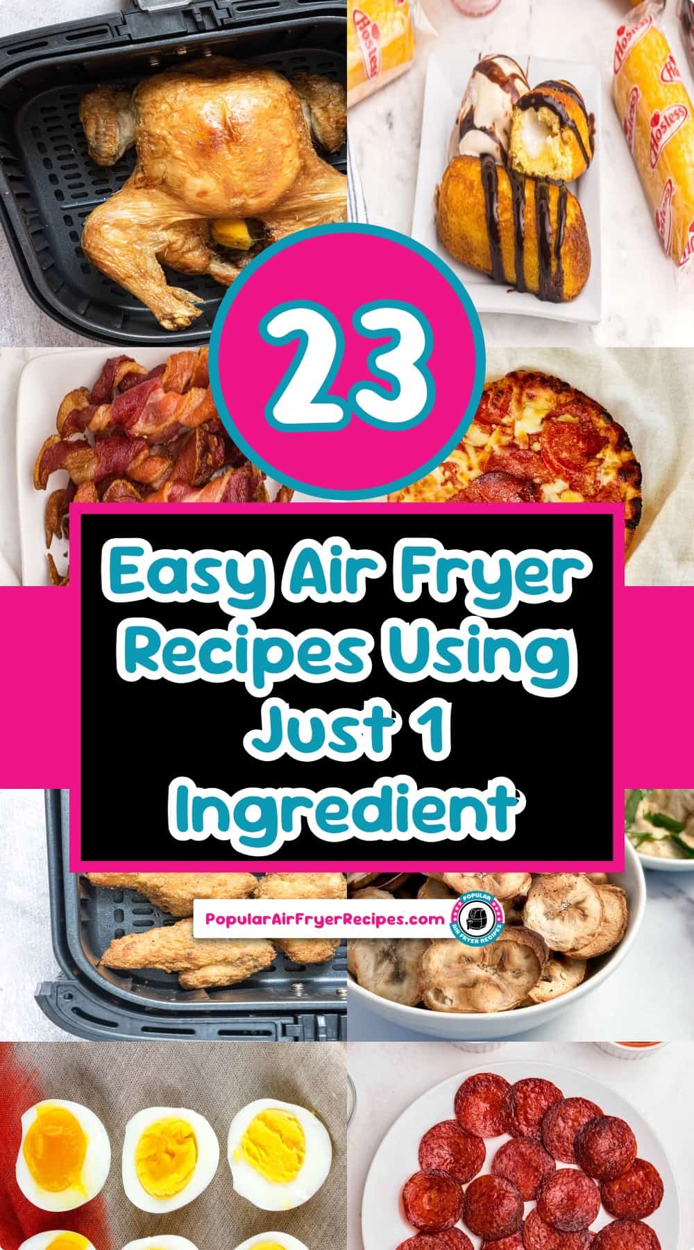 23 Easy Air Fryer Recipes Using Just 1 Ingredient - Popular Air Fryer ...